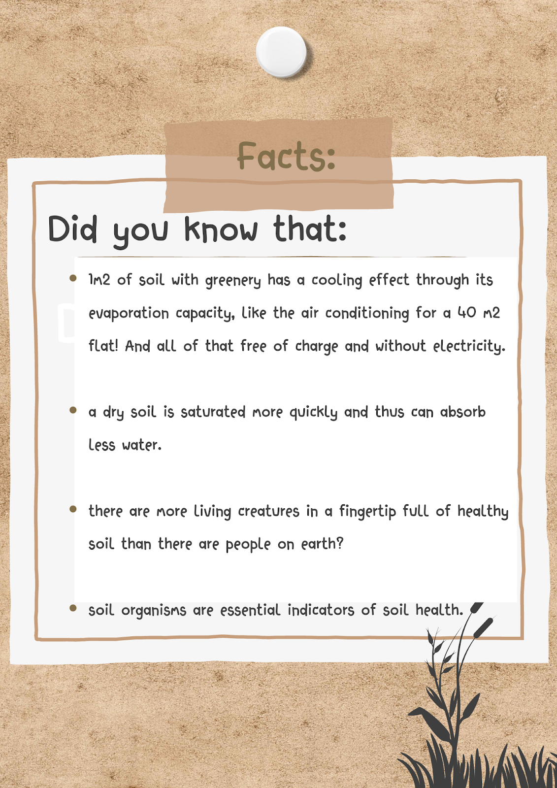 TOPIC 2: Different functions of soil - Learning - ECOGARDENS